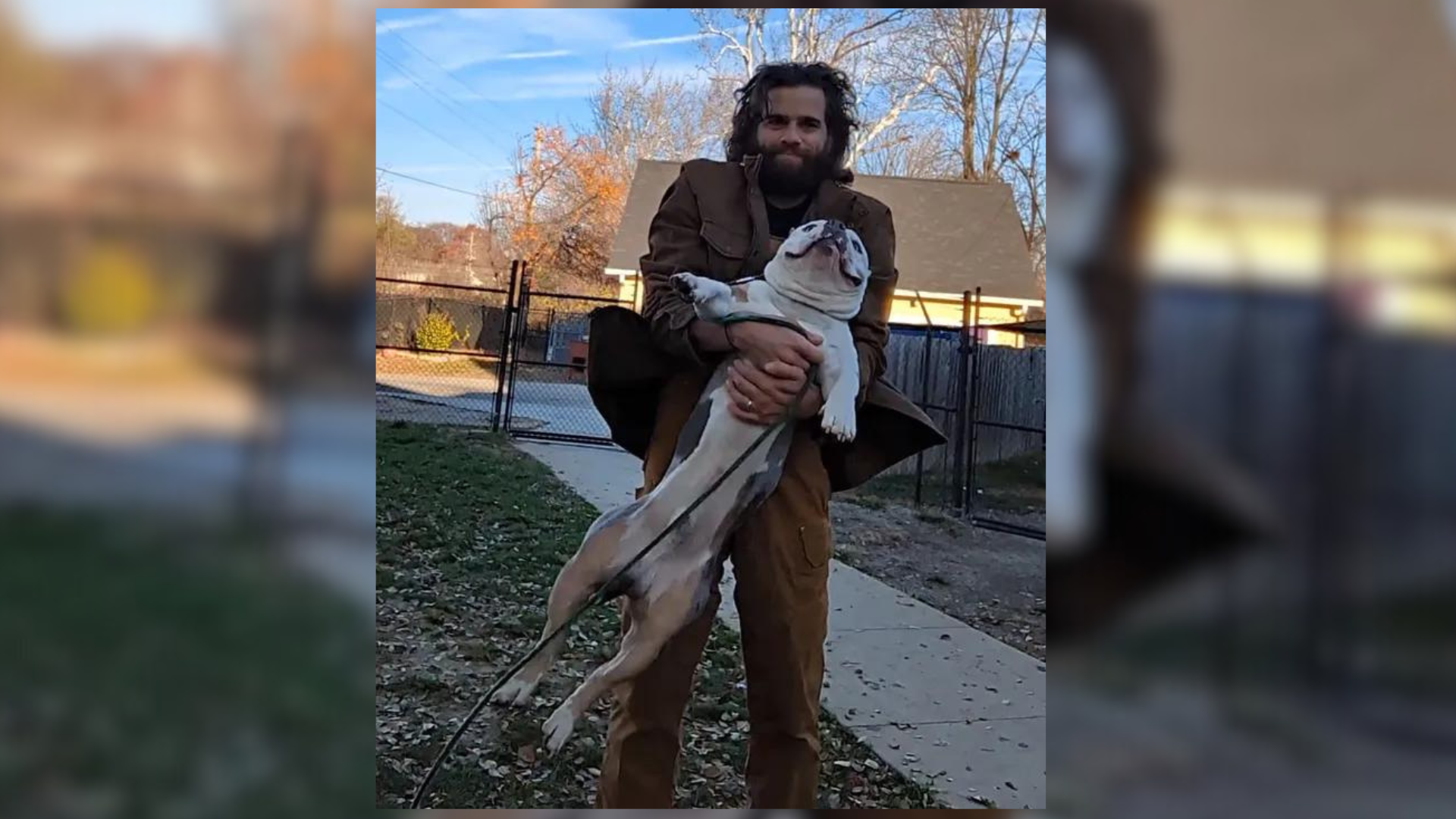 Indiana Man Boosts Dog Adoptions with Playful Videos