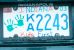 Indiana Driver’s License Renewal: What You Need to Know in 2025